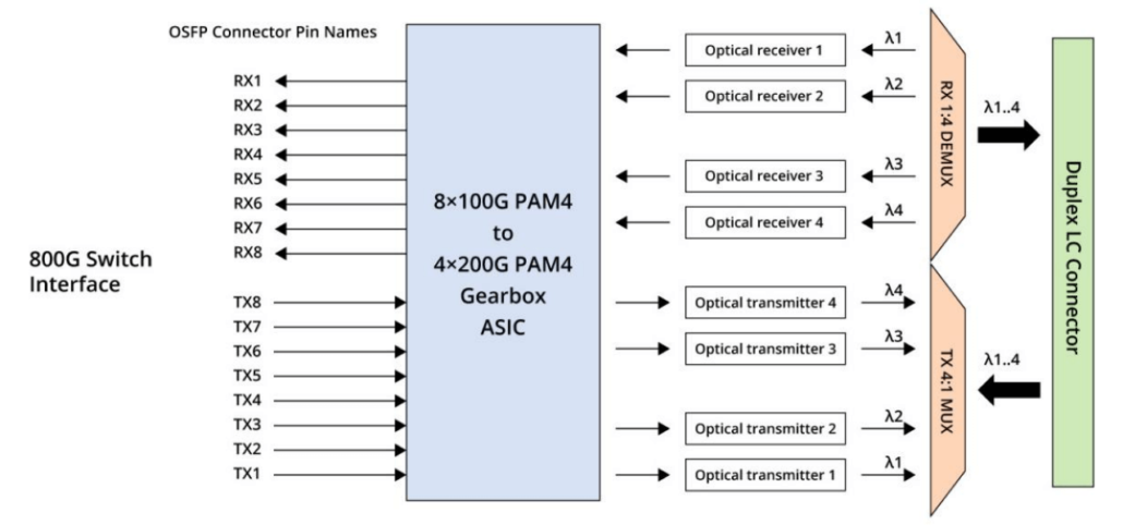 Why Are 800G Optical Modules Important For AI?