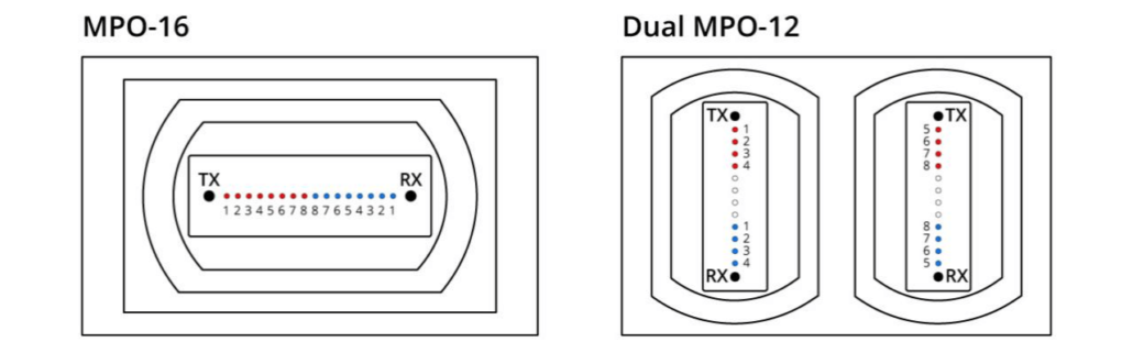 Why Are 800G Optical Modules Important For AI?